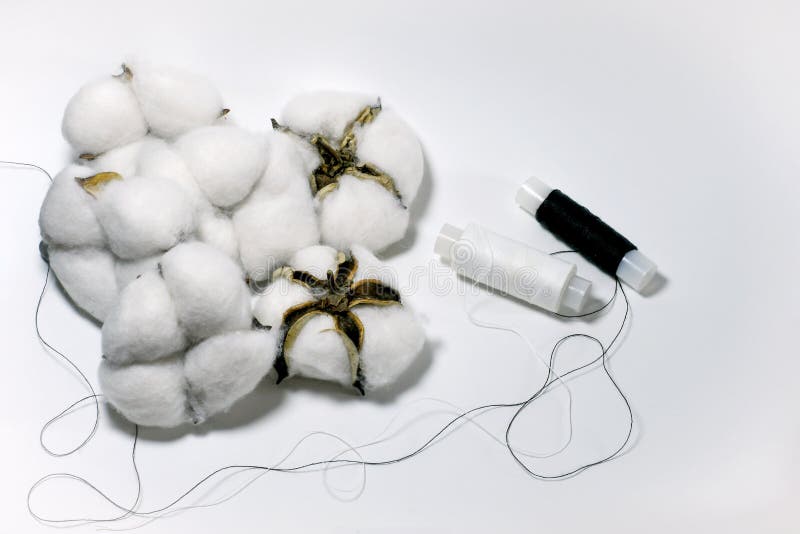 1,516 Cotton Boxes Stock Photos - Free & Royalty-Free Stock Photos from ...