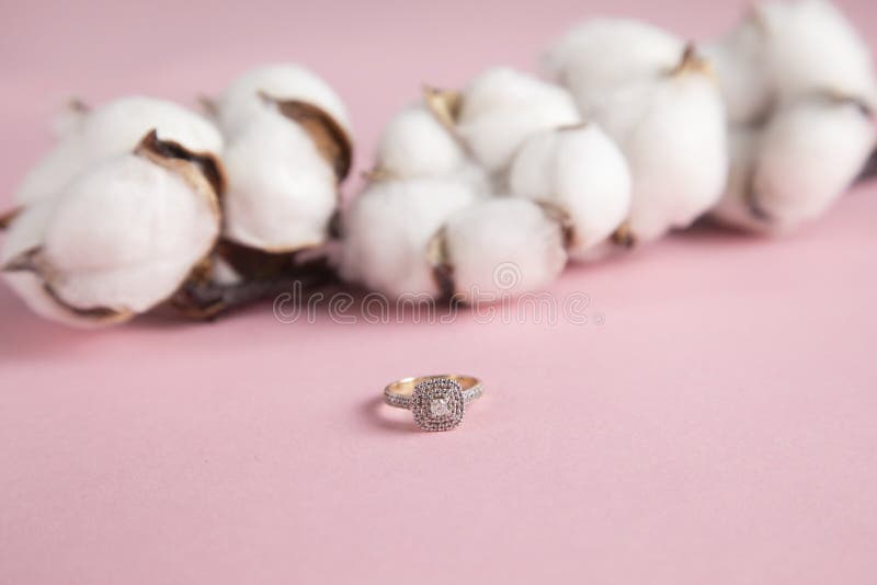 Cotton branch and ring stock photo. Image of plant, object - 213267804
