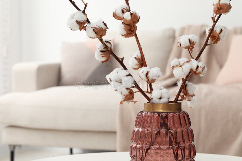 Cotton Branches with Fluffy Flowers on White Table in Cozy Room. Space ...