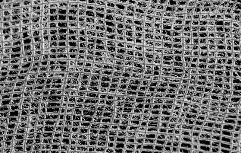 Cotton Fibers Under The Microscope Stock Image - Image of microfiber ...