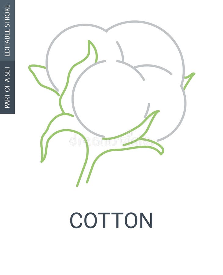 Cotton flat icon stock vector. Illustration of organic - 138258235