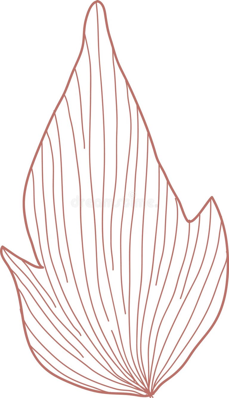 Cotton Leaf Stock Illustrations – 20,607 Cotton Leaf Stock ...