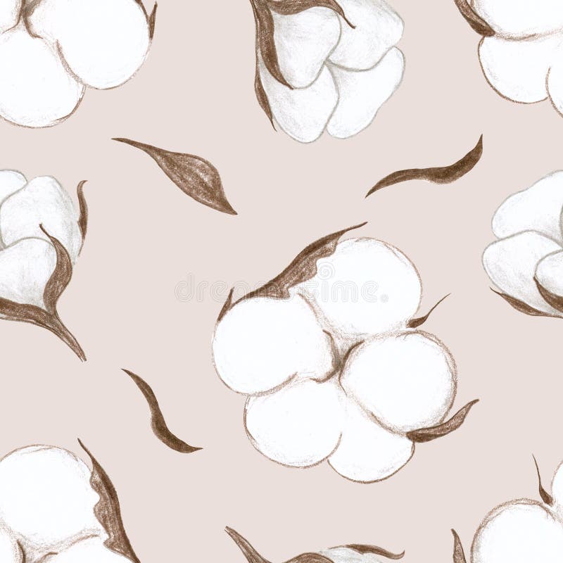 Cotton Flowers on a Beige Background, Hand-drawn Raster Drawing with ...