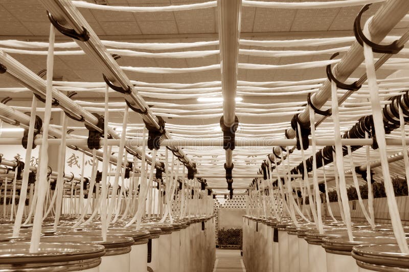 Cotton Group in Spinning Production Line Factory Stock Illustration ...