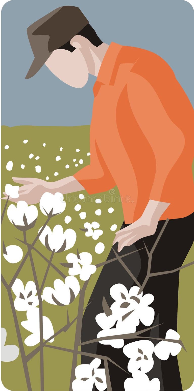 Cotton Farmer Stock Illustrations – 625 Cotton Farmer Stock ...