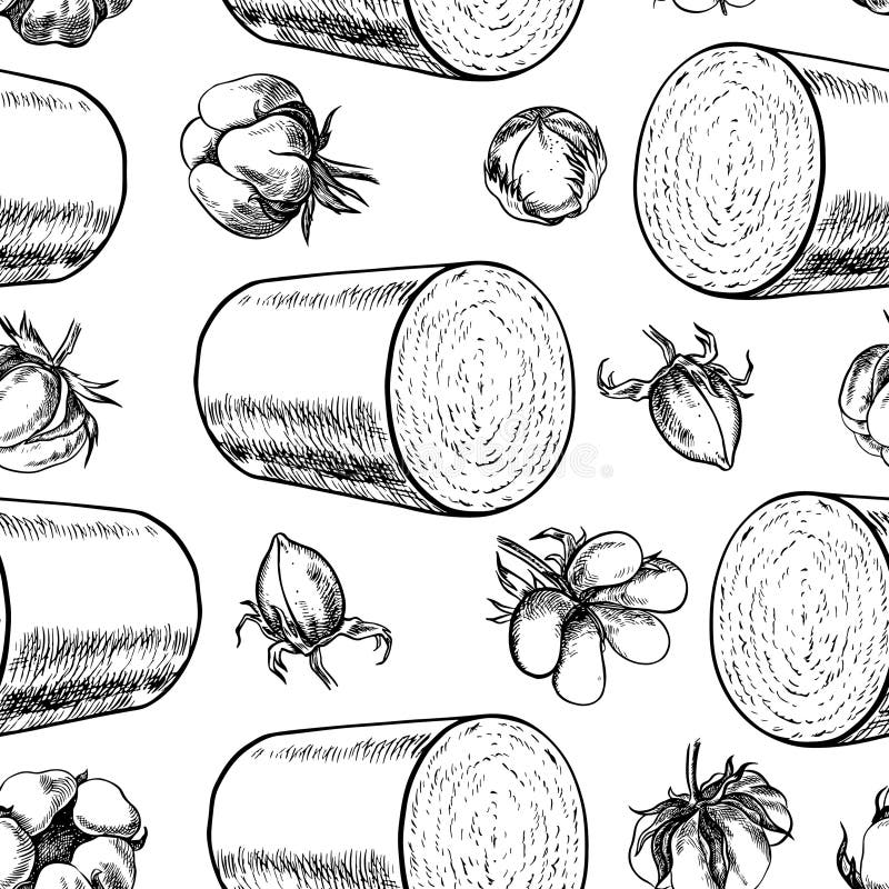 Cotton Harvesters. Seamless Black and White Drawing, Graphic Vector ...