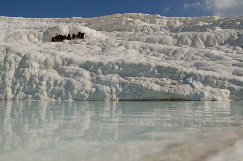Cotton Kale stock photo. Image of extinction, chalk, blue - 51596094