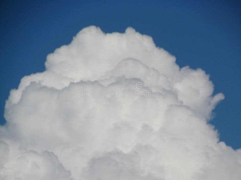 Cotton Like Seeds on a Kapok Tree Against a Bright Blue Sky Stock Image ...