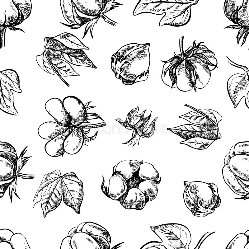 The Cotton is Organic. Seamless Black and White Pattern, Graphic Vector ...