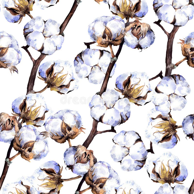 Cotton Plant Branches. Repeating Pattern Stock Image - Image of ...