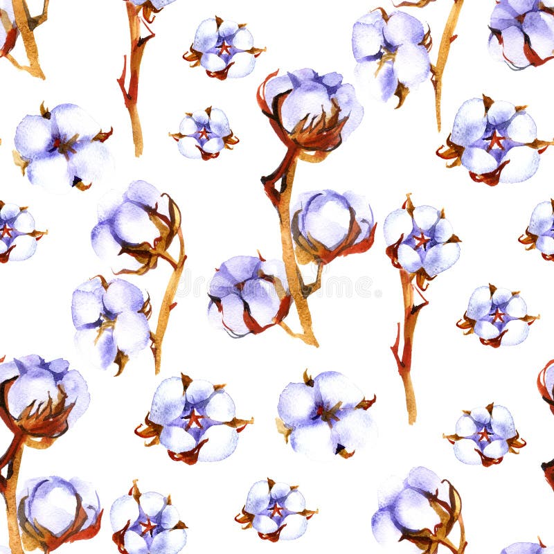 Cotton Plant Branches. Watercolor Repeating Seamless Pattern. Stock ...