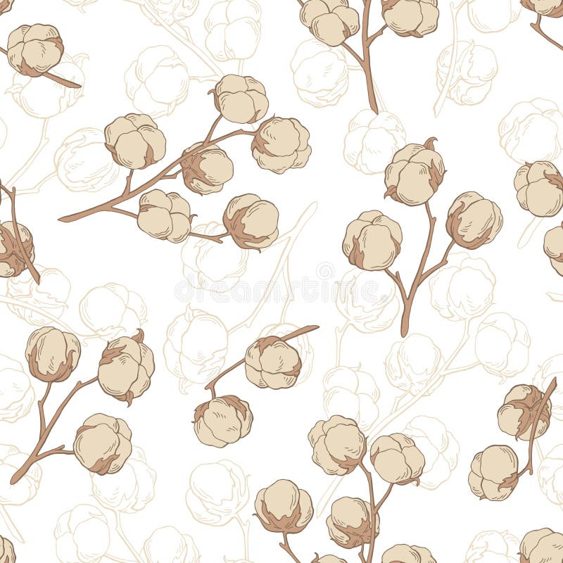 Cotton Plant Graphic Beige Color Seamless Pattern Sketch Illustration ...