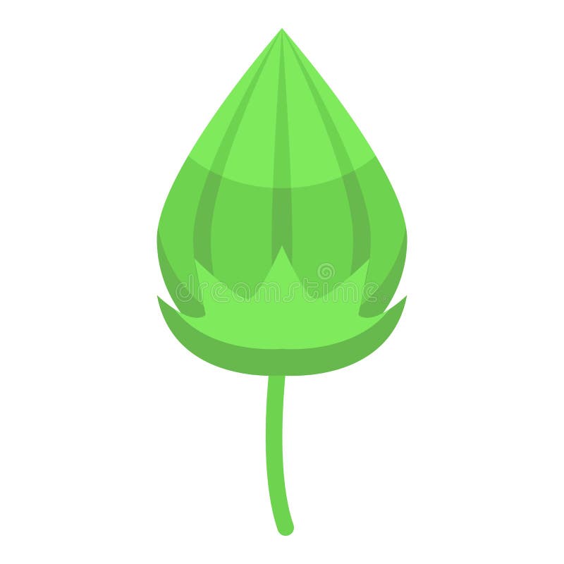 Cotton Plant Icon Isometric Vector. Soft Fabric Stock Vector ...