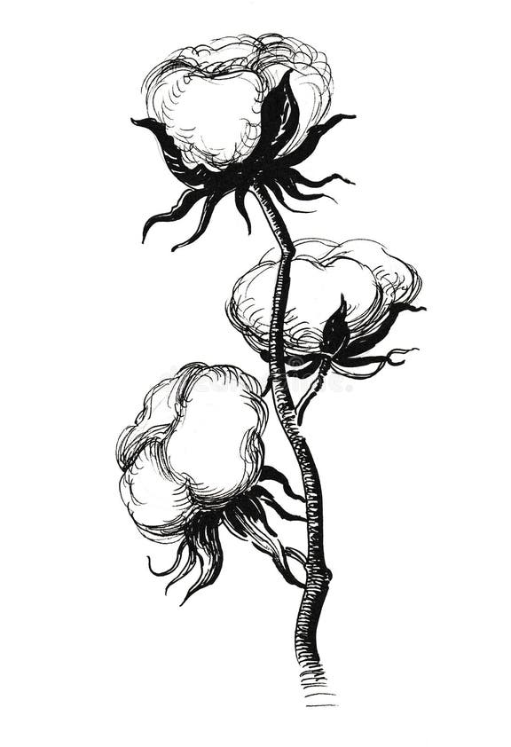 Cotton Farming Stock Illustrations – 2,509 Cotton Farming Stock ...