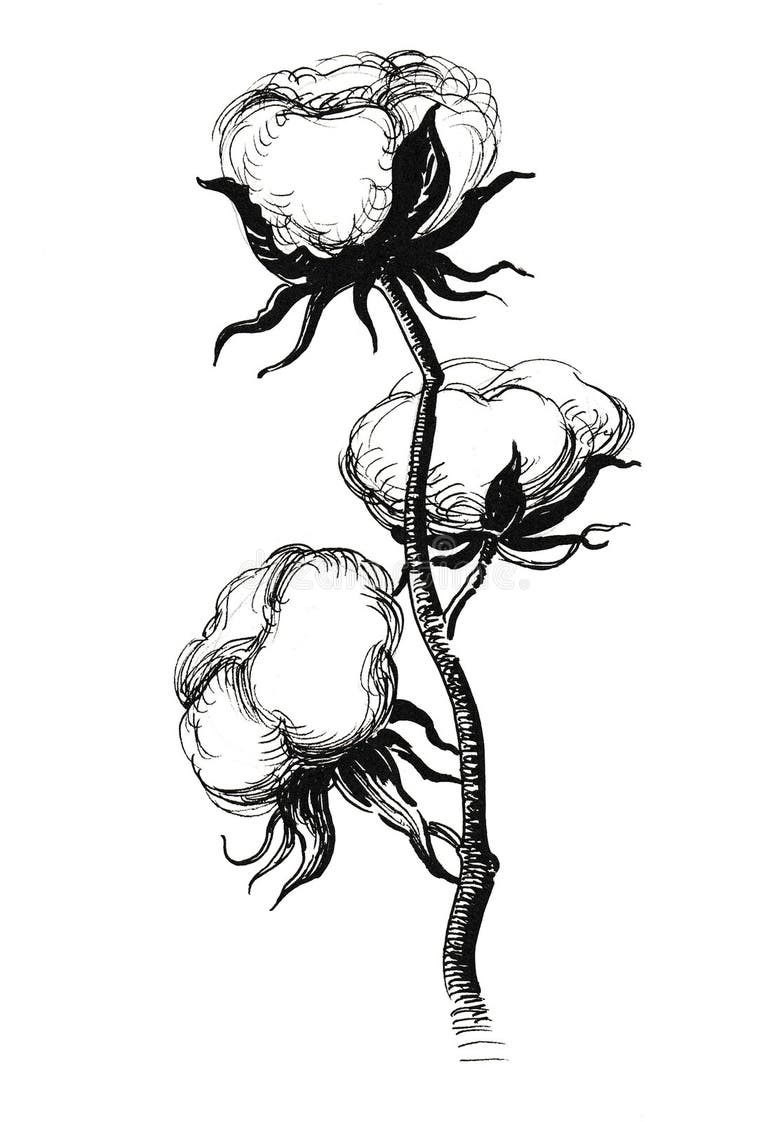 Cotton Farming Stock Illustrations – 2,509 Cotton Farming Stock ...