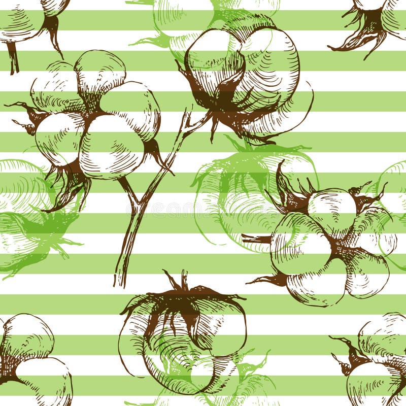 Cotton Plant Seamless Pattern Stock Vector - Illustration of growing ...