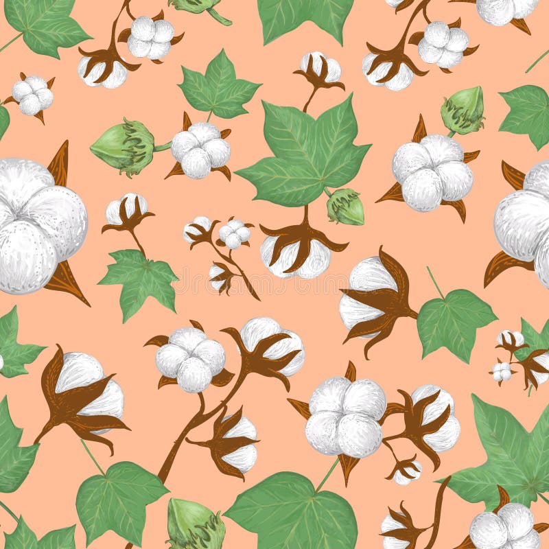 Cotton Plant Parts in Seamless Pattern on Peach Background Stock Vector ...