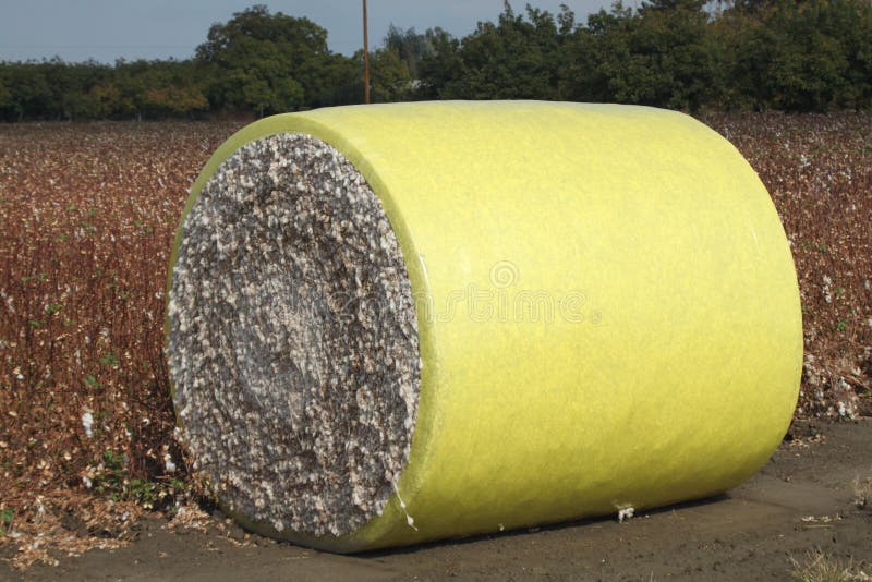 Cotton Roll stock image. Image of roll, cotton, valley - 53680285
