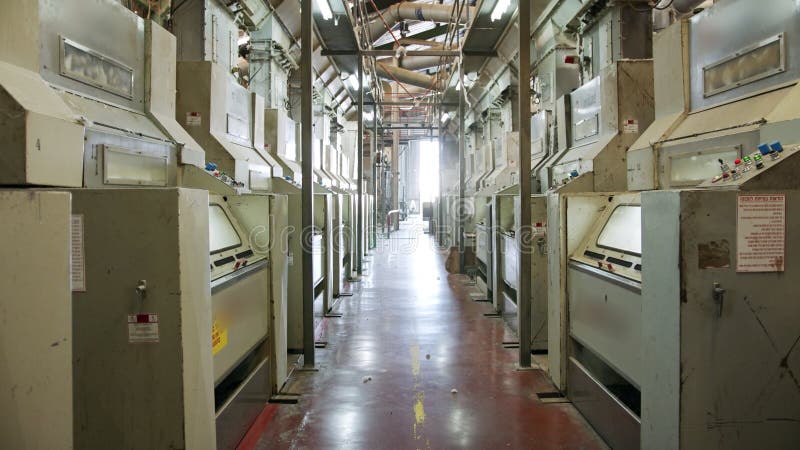 Cotton Separation and Processing Machines in an Industrial Cotton Gin ...