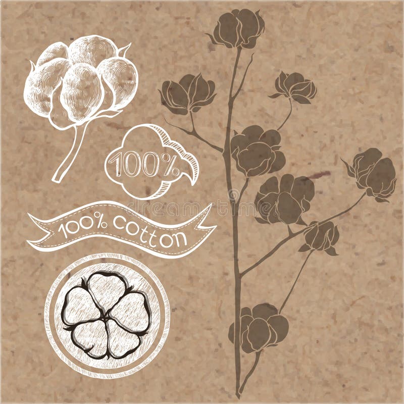 Cotton Set. Cotton Labels, Stickers and Elements on Kr Stock ...
