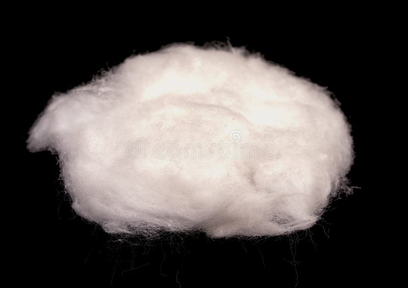 Cotton wool isolated stock image. Image of closeup, design - 118883209