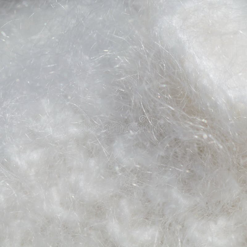 Soft White Cotton Texture