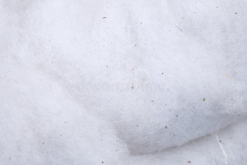 Cotton wool texture stock image. Image of blank, clean - 192385863