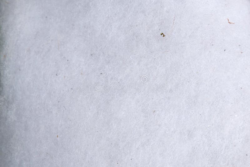 Cotton wool texture stock photo. Image of natural, background - 192385864