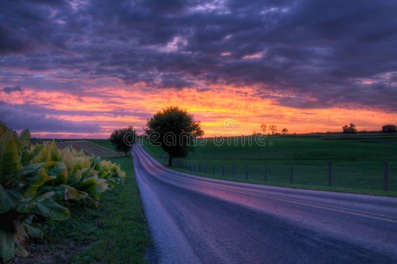 Coucher Du Soleil De Route De Campagne Image stock - Image du nuages ...
