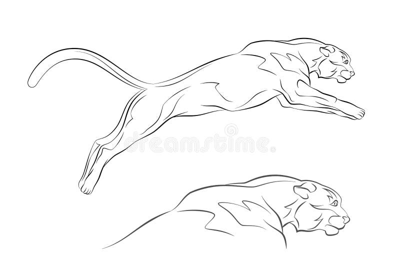 Cougar Outline Clip Art