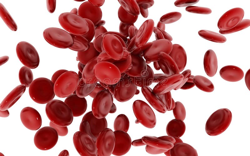 Globules Rouges Circulant Sur Le Fond Blanc Illustration Stock ...