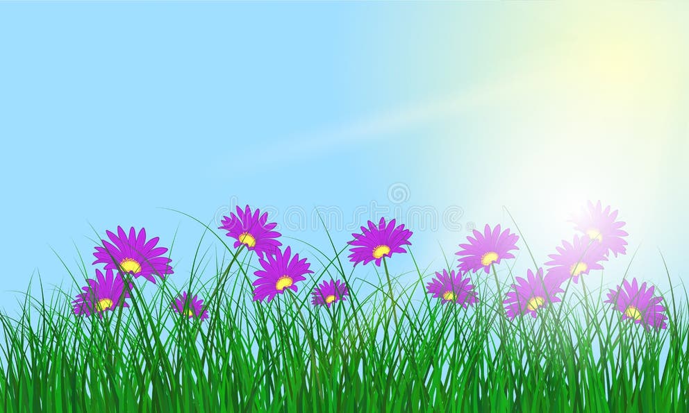 Couleur de pré illustration de vecteur. Illustration du couleur - 55771250