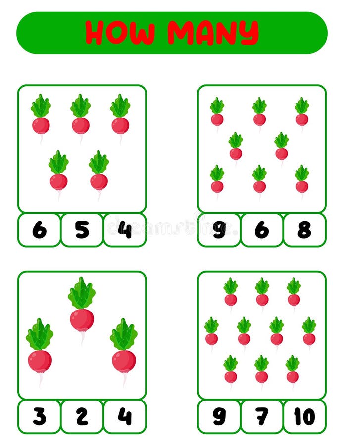 Count How Many Radishes. Write Down the Answer Stock Vector ...