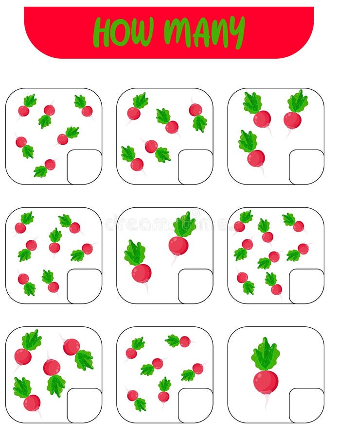 Count How Many Radishes. Write Down the Answer Stock Vector ...