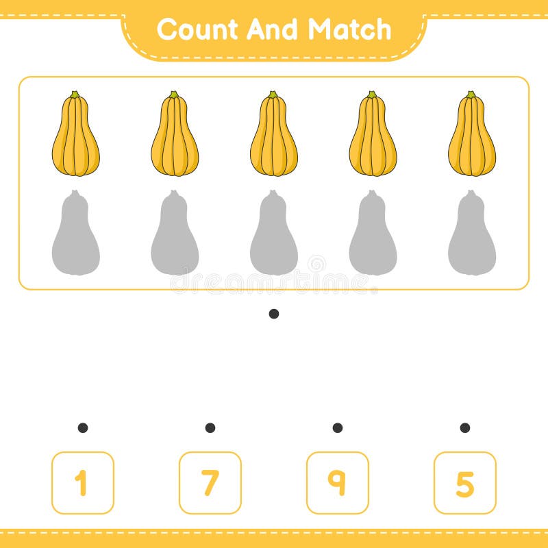 Count and Match, Count the Number of Butternut Squash and Match with ...
