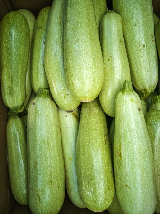 On the Counter is a Bunch of Green Small Zucchini Stock Photo - Image ...