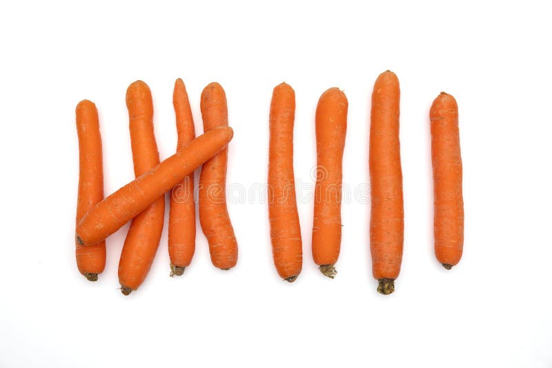 Counting Exercise with Nine Carrots on White Background Educational ...