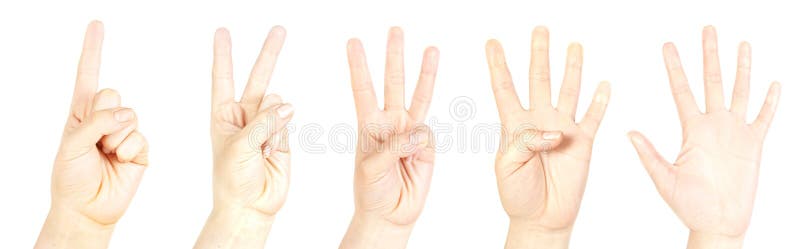 Counting hand stock image. Image of fist, four, count - 23149391