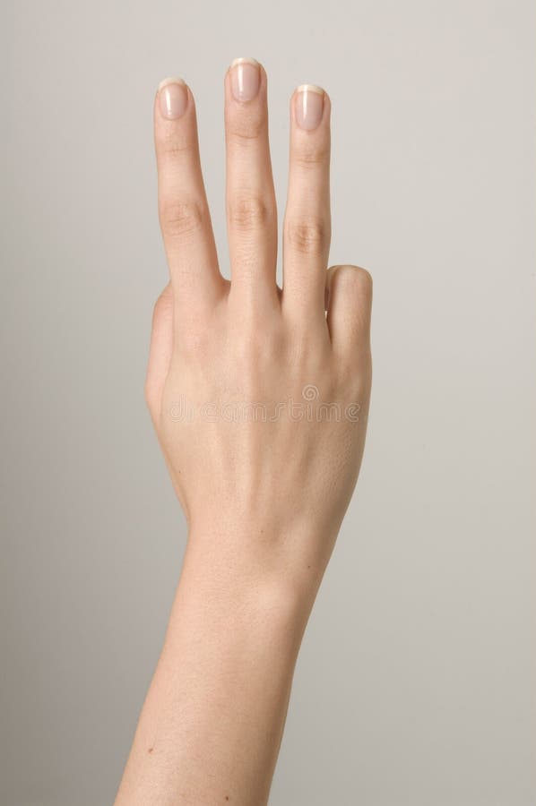 Counting Hand Three stock photo. Image of number, countdown - 11345522