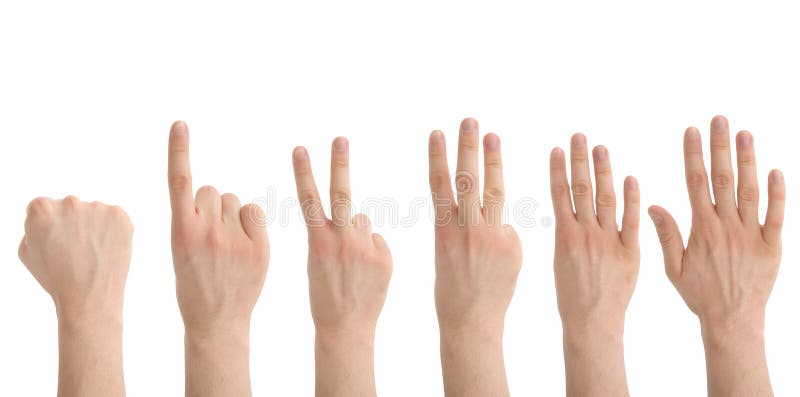 Counting hands stock photo. Image of numbers, hand, paths - 13423154