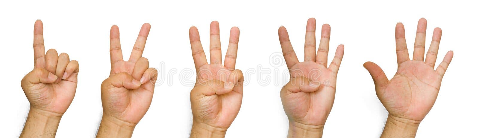 Finger counting stock image. Image of hand, anatomy, pose - 13604877