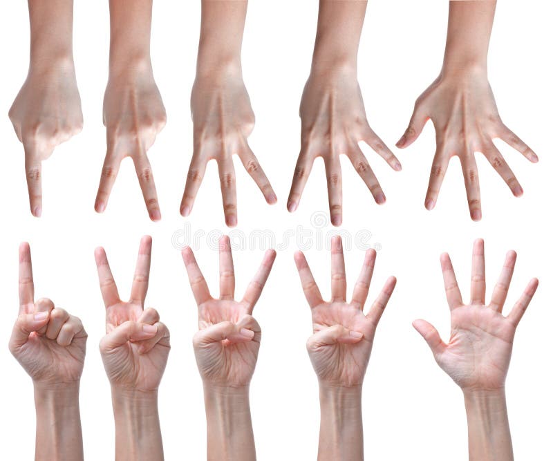120+ Counting hands Free Stock Photos - StockFreeImages