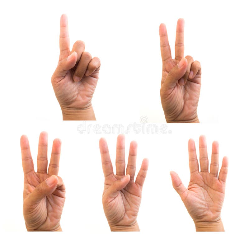Counting hands stock photo. Image of five, sign, caucasian - 35033076
