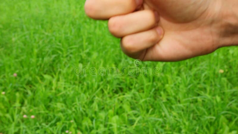 Counting male hand on stock video. Video of park, three - 321024885