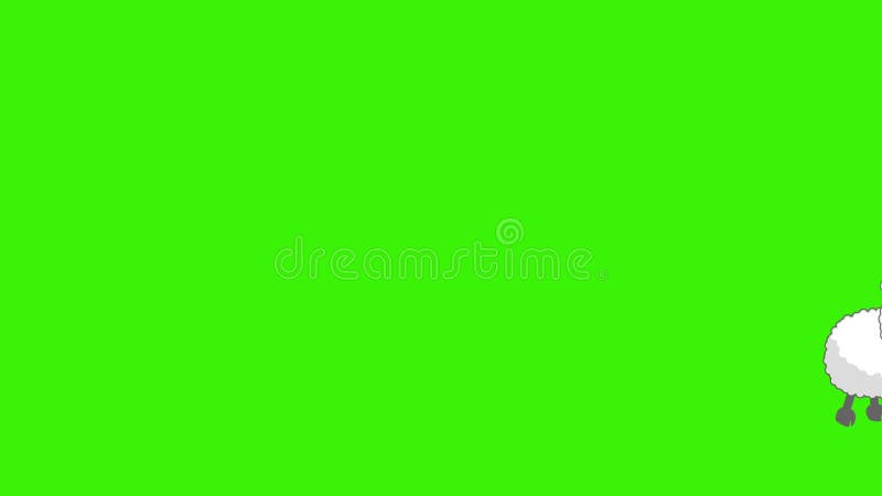 Flock of Sheep Green Screen 3D Rendering Animation Stock Footage ...