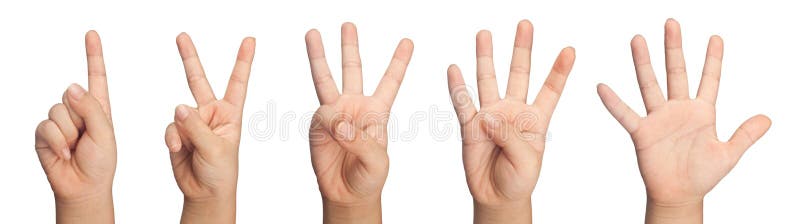 Child finger numbers stock photo. Image of child, counting - 12260440