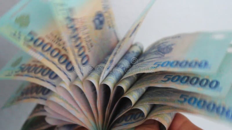 Man in Vietnamese Hat Counting the Vietnamese on Tropical Beach in ...