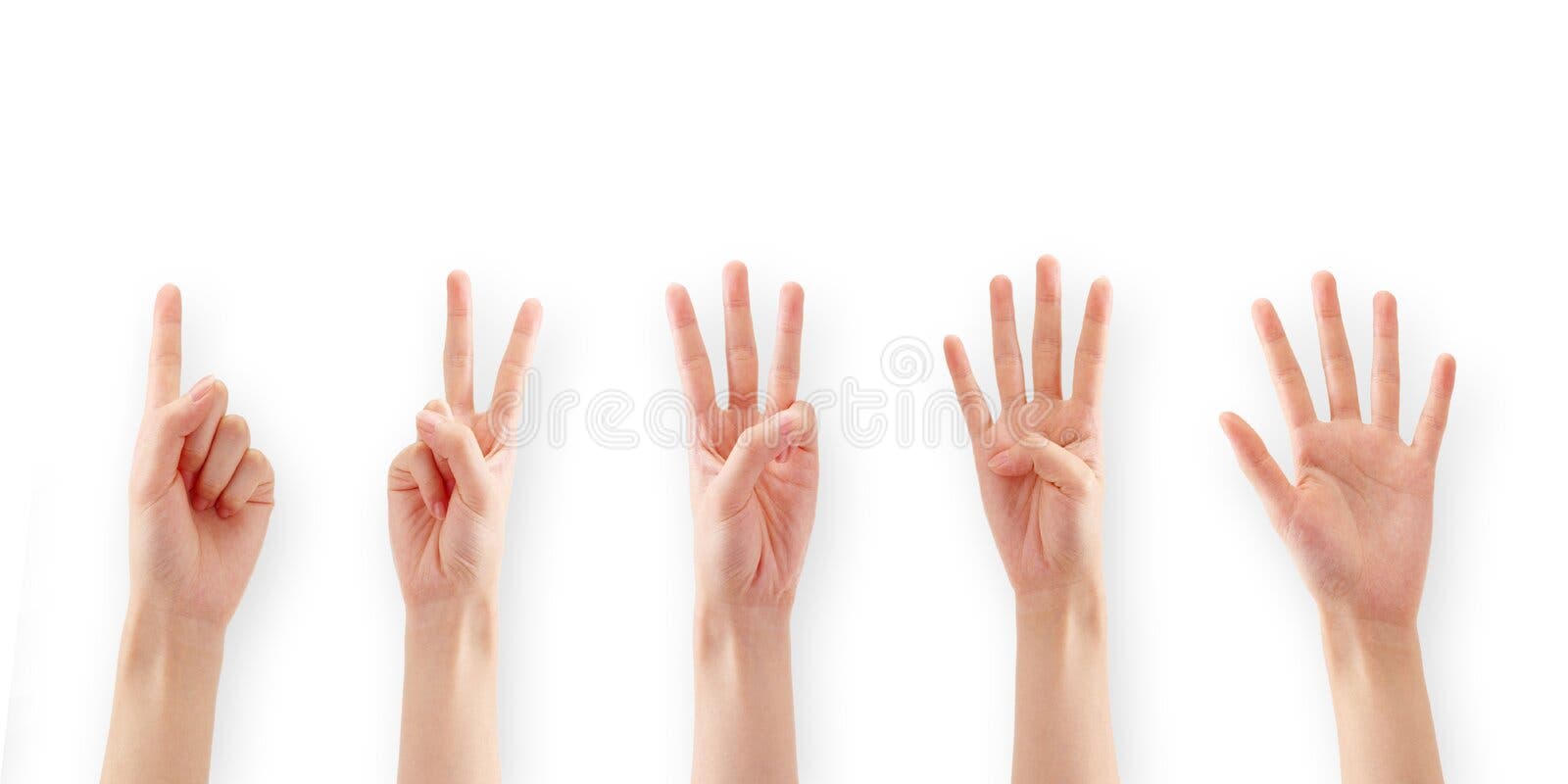 Hand gesture body language stock image. Image of hands - 9329437