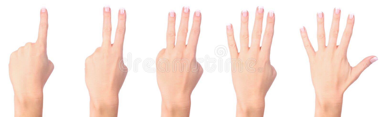 Woman Hand Making Gesture Five Isolated on White Background Stock Photo ...