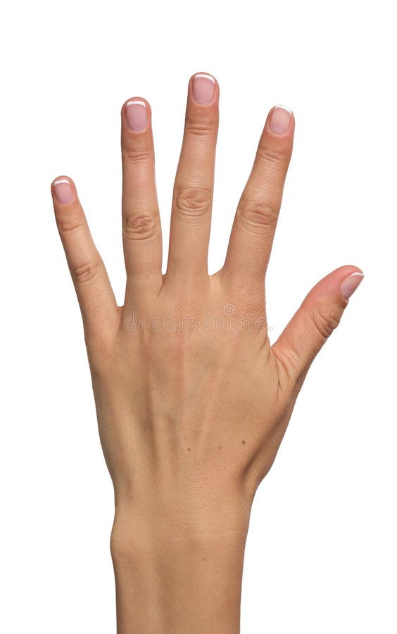 Counting woman hands five. stock photo. Image of back - 83857024